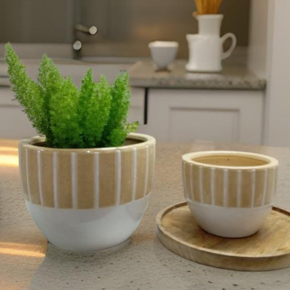 Desktop Planter in ceramic-perfect flower pots for tables. – The Plant Shop