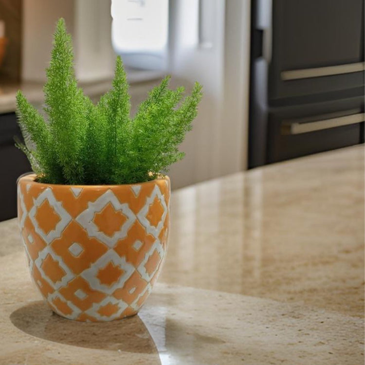 Flower pots and Planters manufacturers in Chennai India. – The Plant Shop