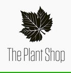 Buy Planters & Flower Pots Online | Stylish Indoor & outdoor designs ...